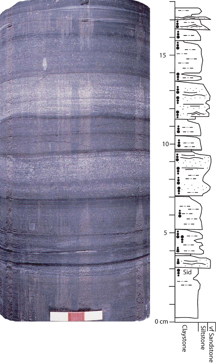 Figure 1. Core photograph of diffusely bedded prodelta mudstones and ...