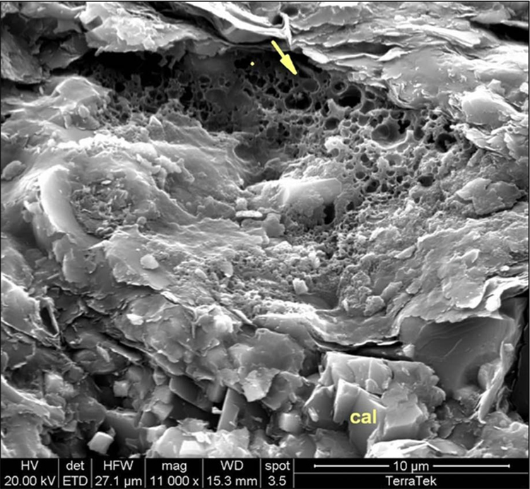 Preliminary Analytical Results: Haynesville Shale in Northern Panola ...