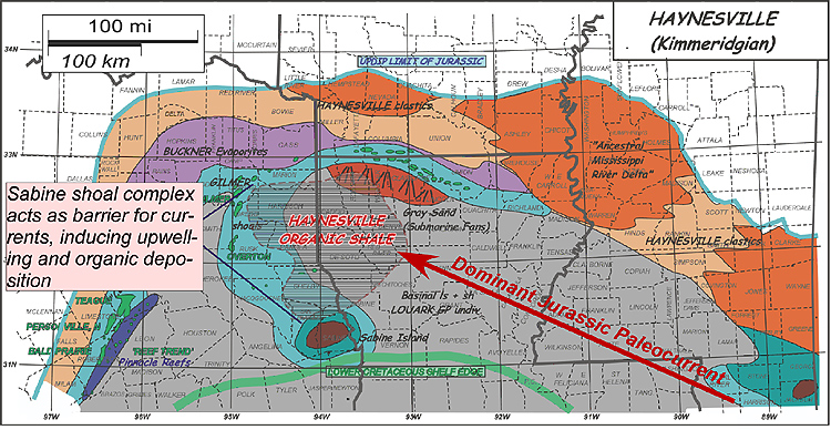 Figure 1. Possible origin of the Haynesville organic shale (based on ...