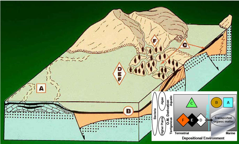Source Rock Classification: Organofacies (Pepper and Covi, 1995)